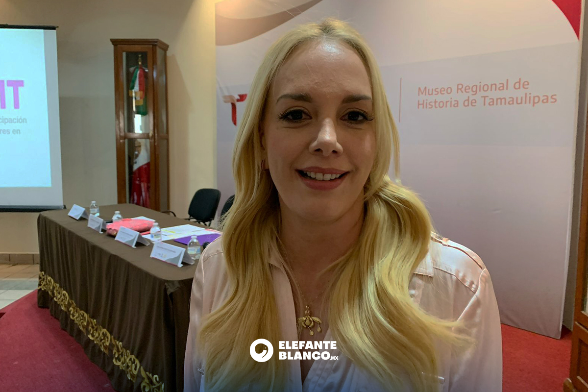 Instituto de la Mujer de Tamaulipas se queda sin directora - Elefante Blanco