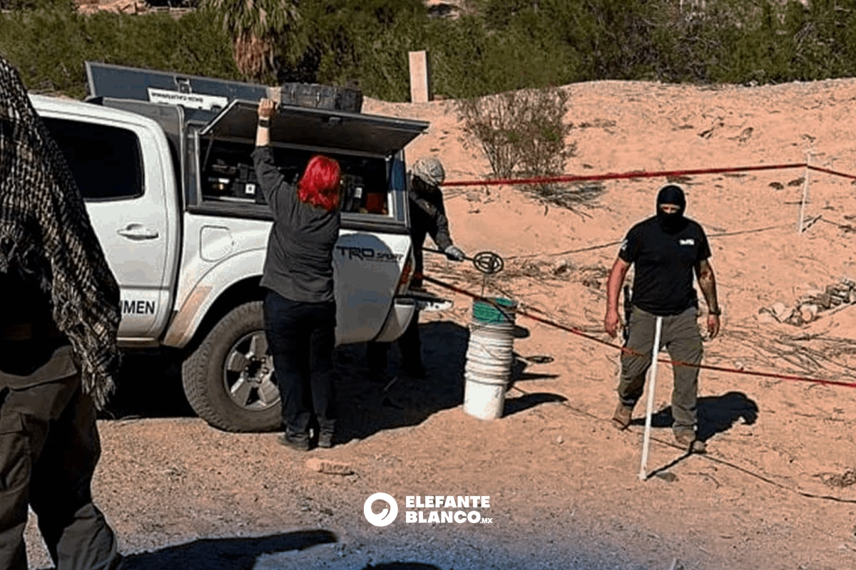 Narco-ranchos también evidencian la crisis de desaparecidos - Elefante ...
