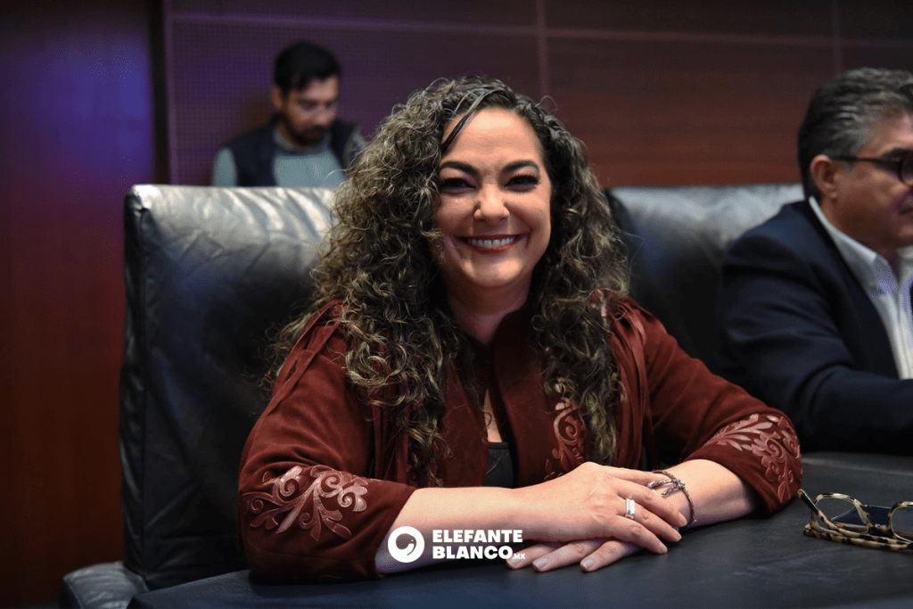 Olga Sosa llama a cerrar filas, reconoce hay “fuego amigo” - Elefante ...