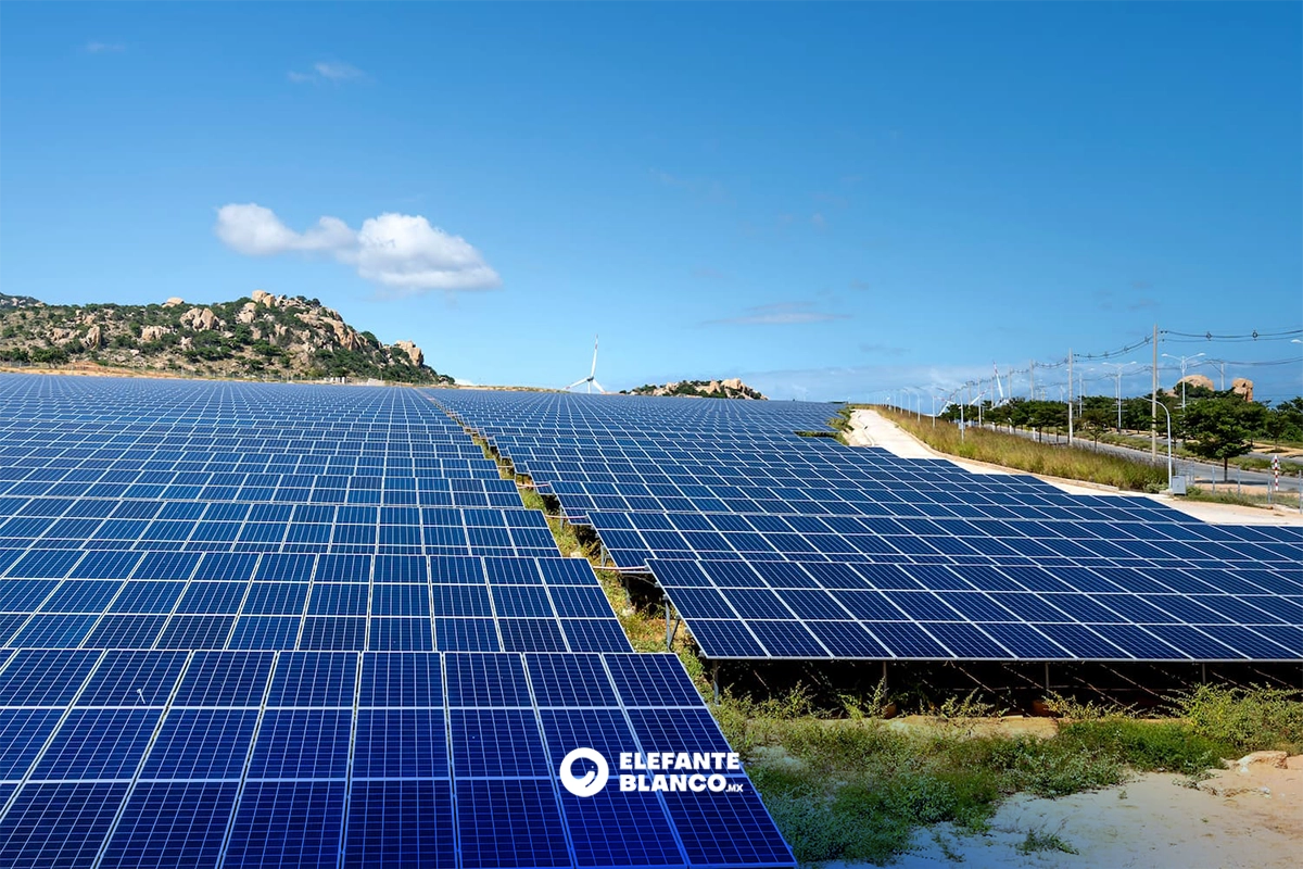 Convenio estatal abre paso a proyecto solar de 142 MW en Altamira ...