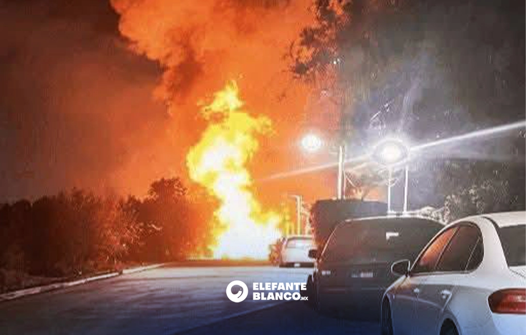 CDG incendia Reynosa por captura del “Metro 9” - Elefante Blanco